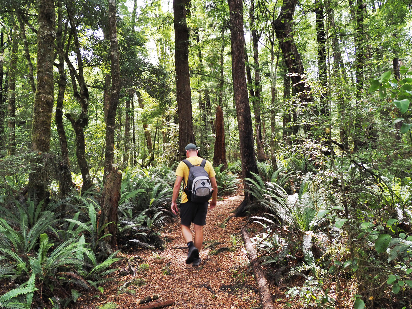 Nelson Lakes National Park: bezienswaardigheden en tips! - Liefde voor ...